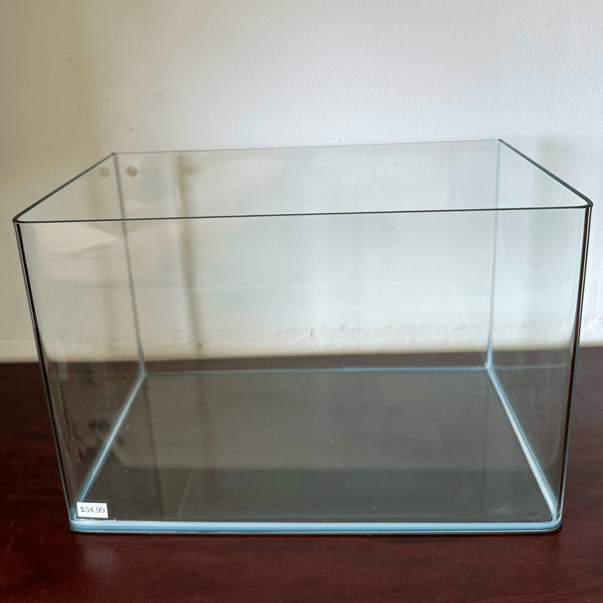 Rimless Curved Corner Aquarium 4.2 Gallon — Fishiotherapy