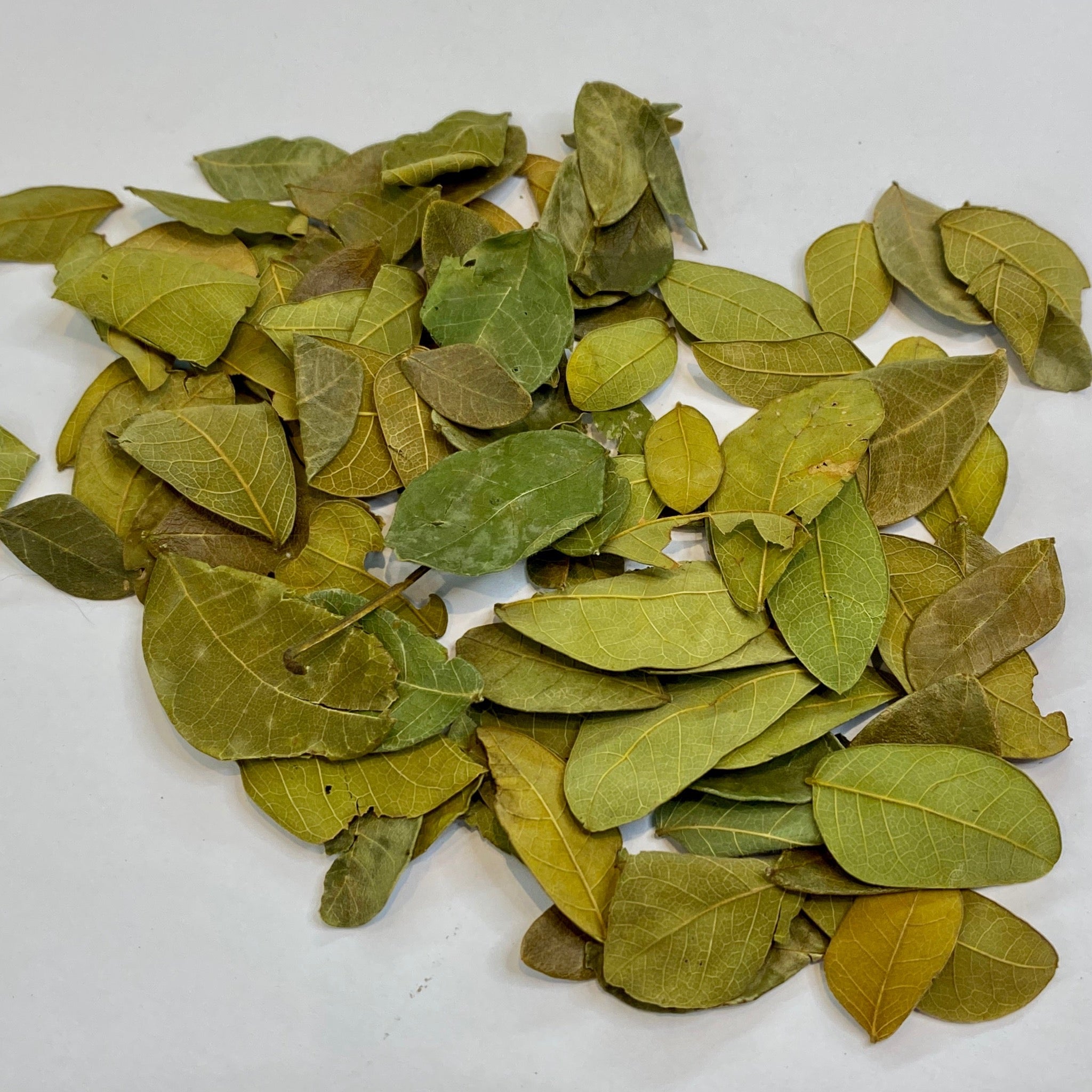 Nano Leaves – Fishiotherapy